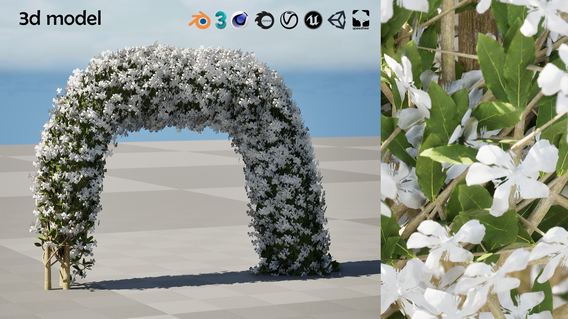 Elegant Arc Crepe Jasmine Arch 3D Model 3D - TurboSquid 2239895