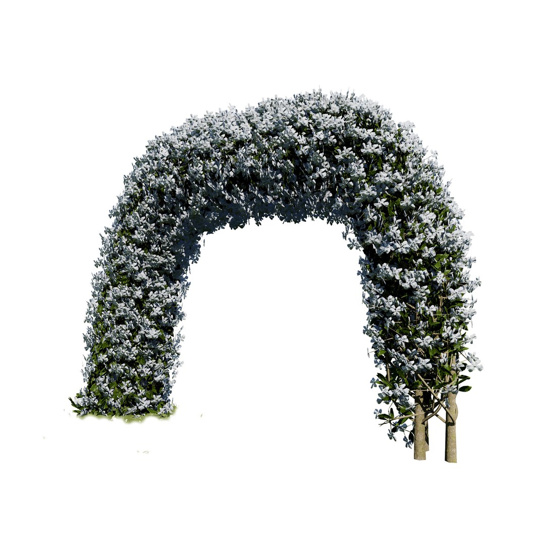 Elegant Arc Crepe Jasmine Arch 3D Model 3D - TurboSquid 2239895