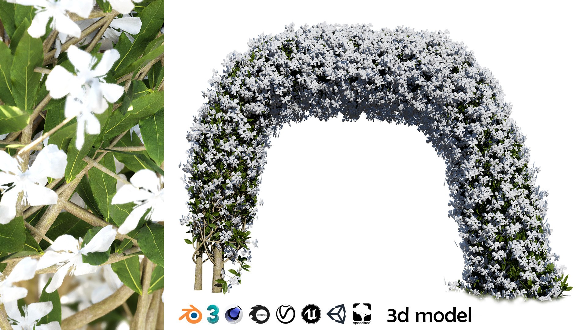 Elegant Arc Crepe Jasmine Arch 3D Model 3D - TurboSquid 2239895