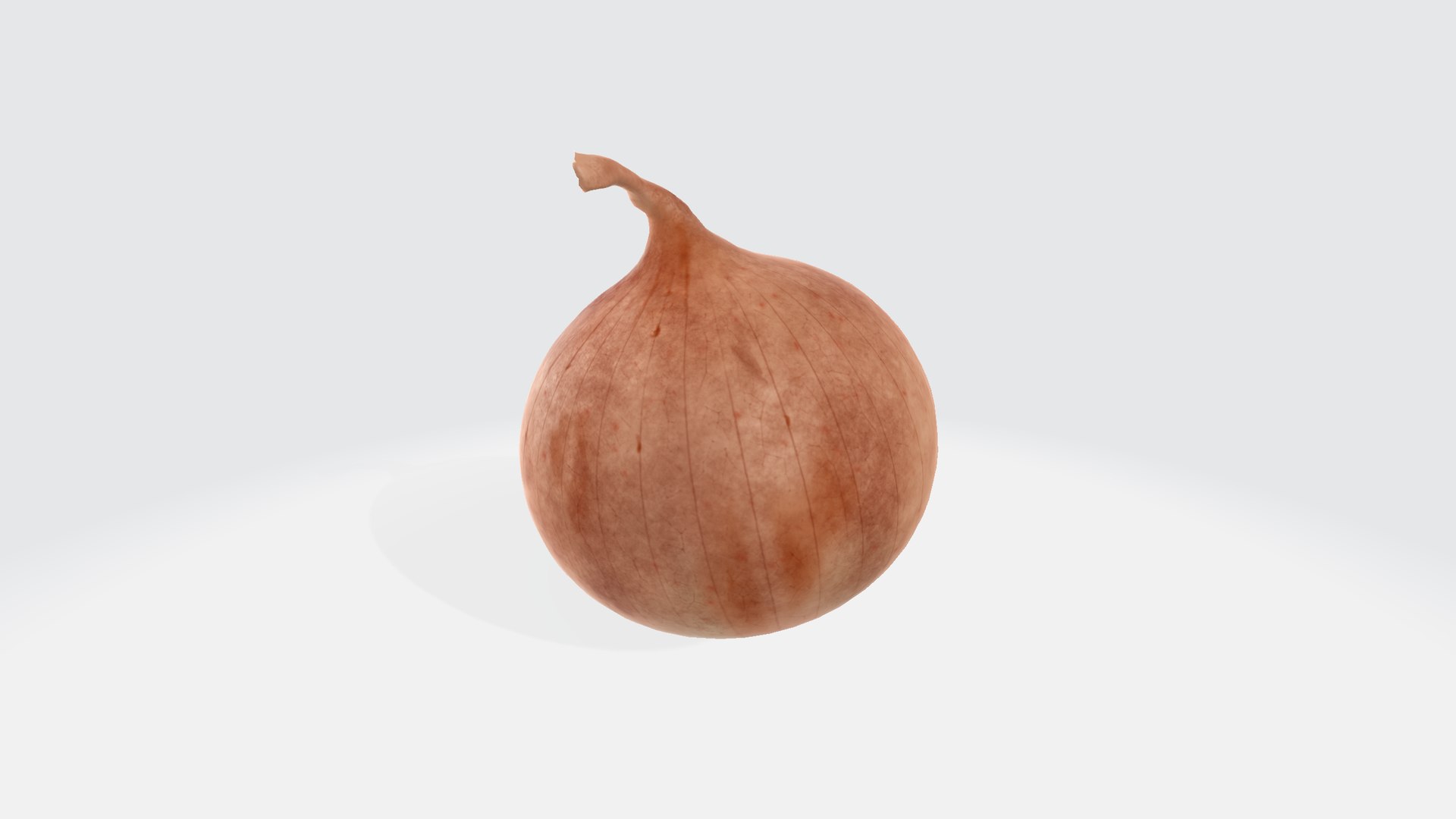 3D Onion Model - TurboSquid 2347338