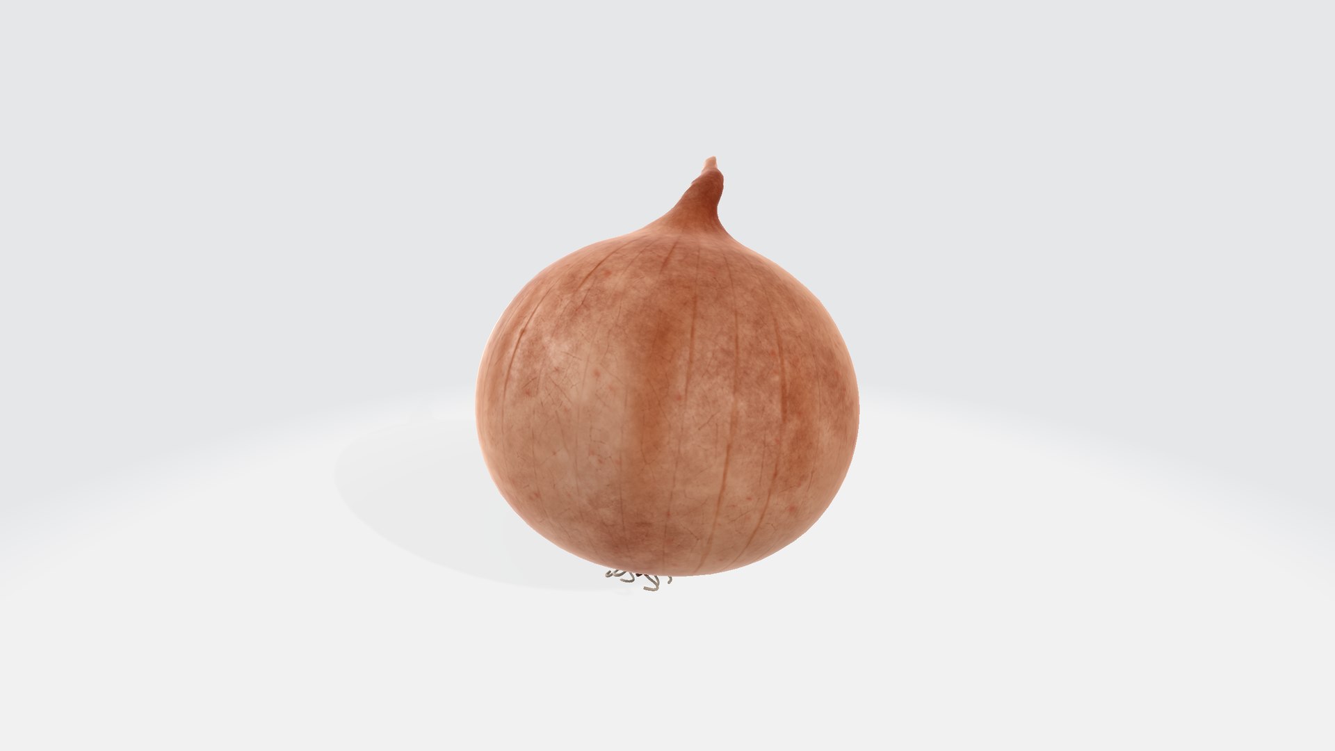 3D Onion Model - TurboSquid 2347338