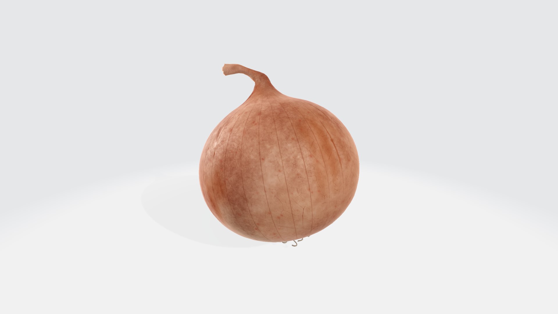 3D Onion Model - TurboSquid 2347338