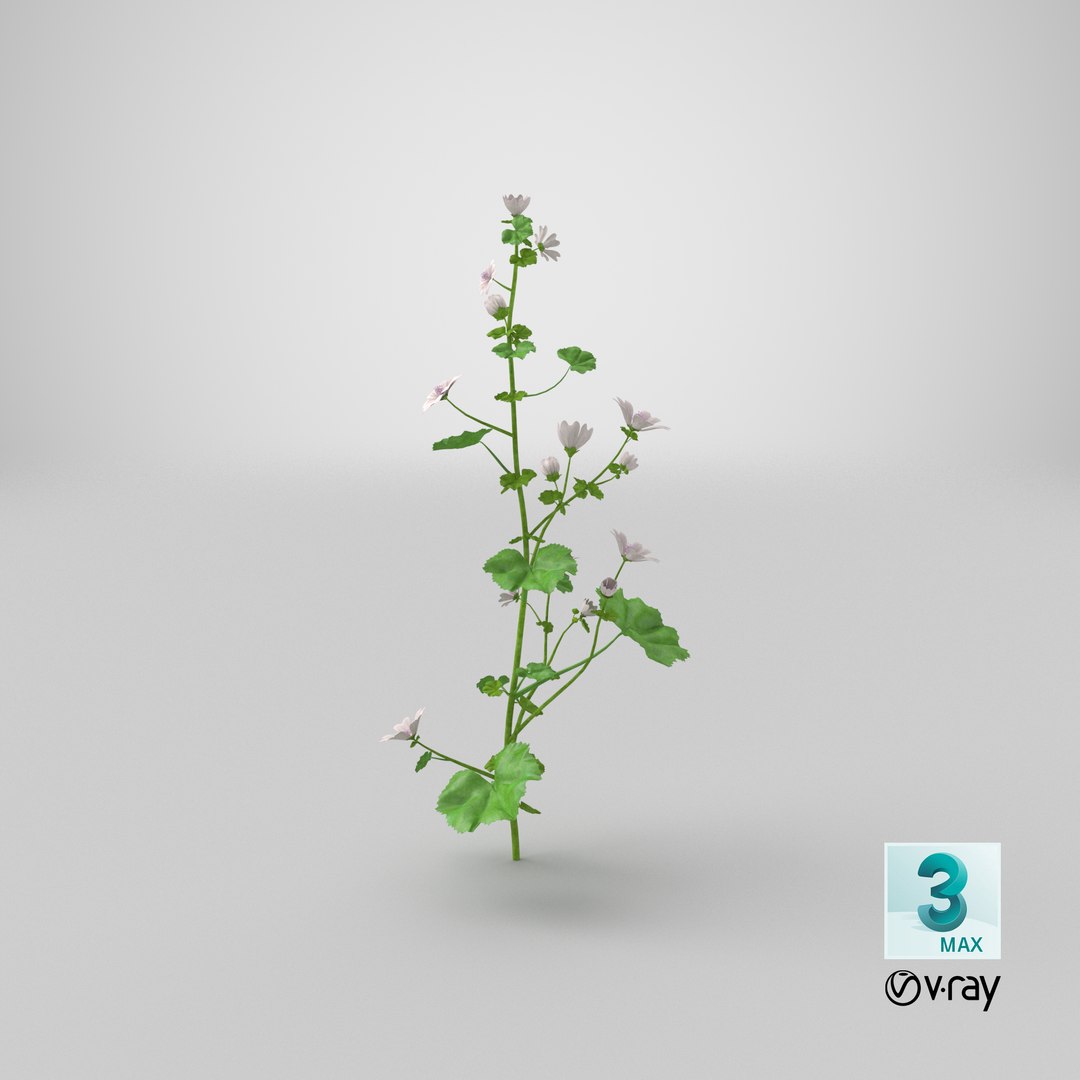 White Musk Mallow 3D Model - TurboSquid 1620960