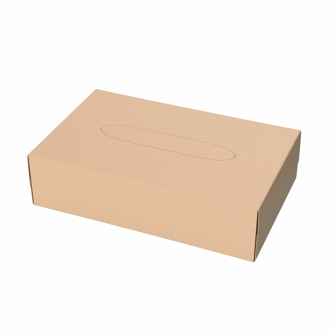 3D Face Tissue Box model - TurboSquid 2181086