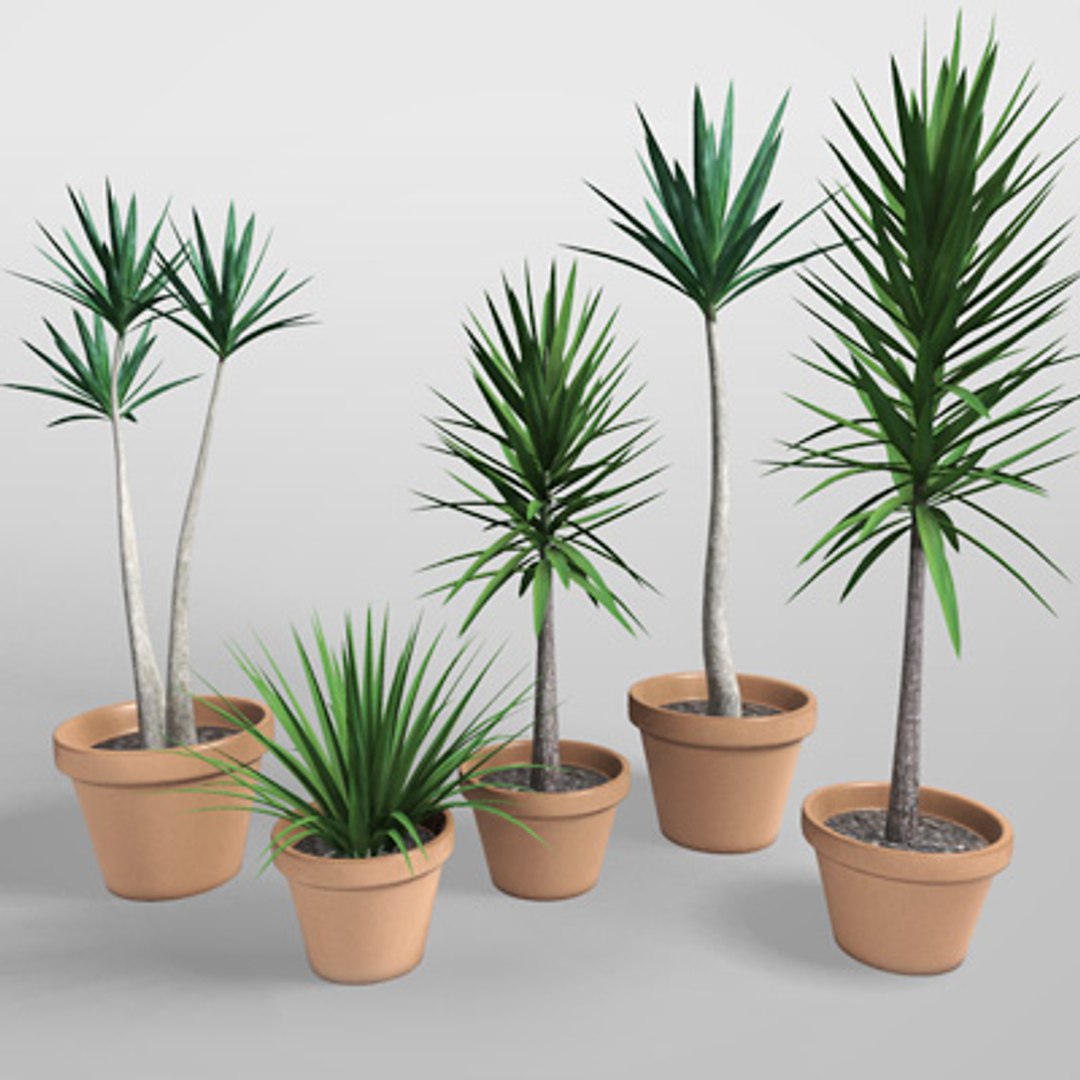 3d realistic plants model