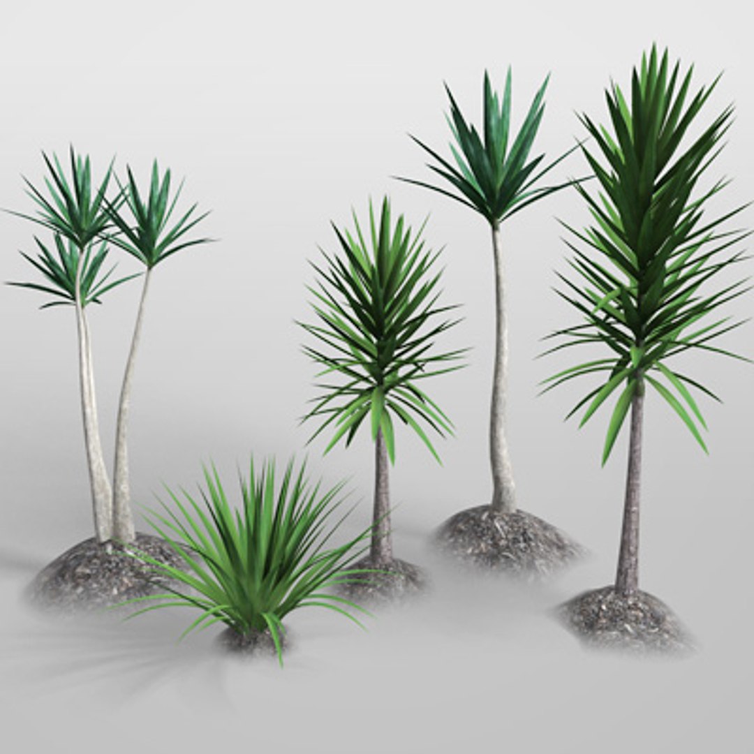 3d realistic plants model