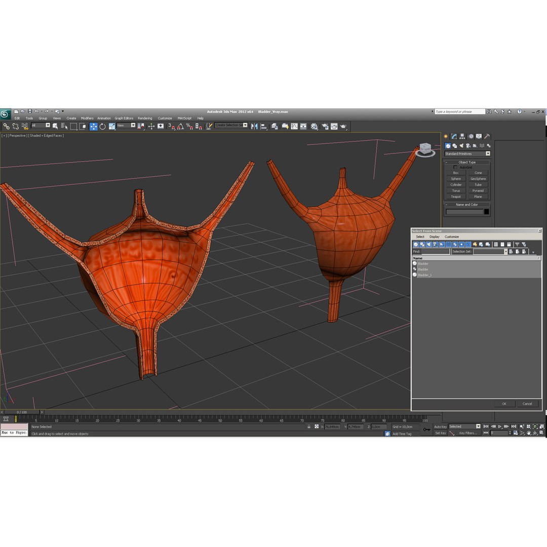 3d Model Bladder