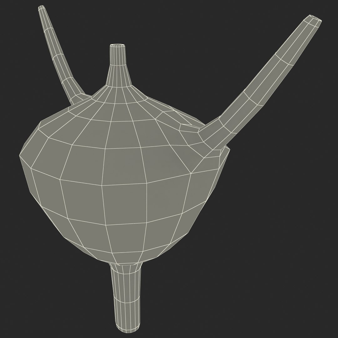 3d Model Bladder