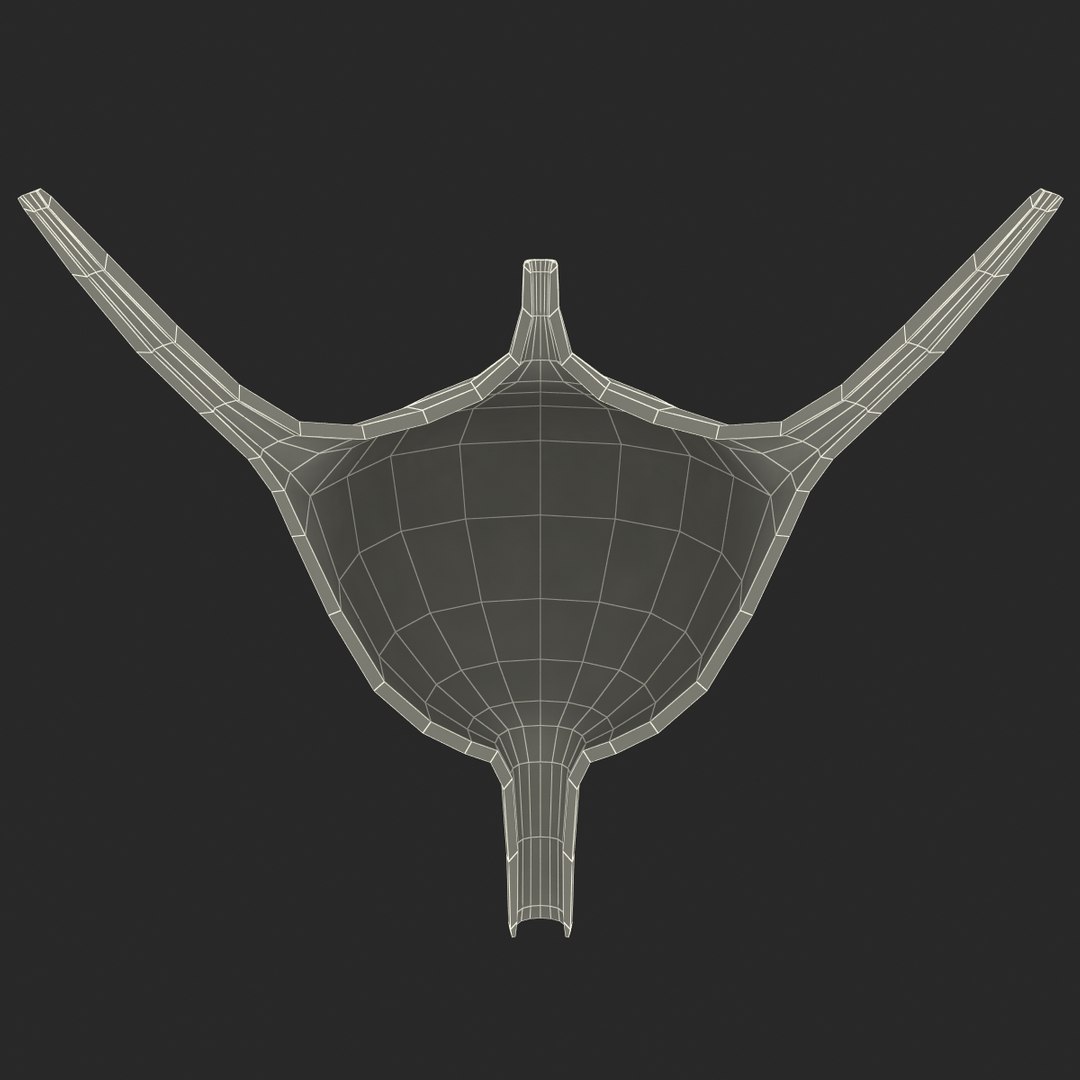 3d Model Bladder