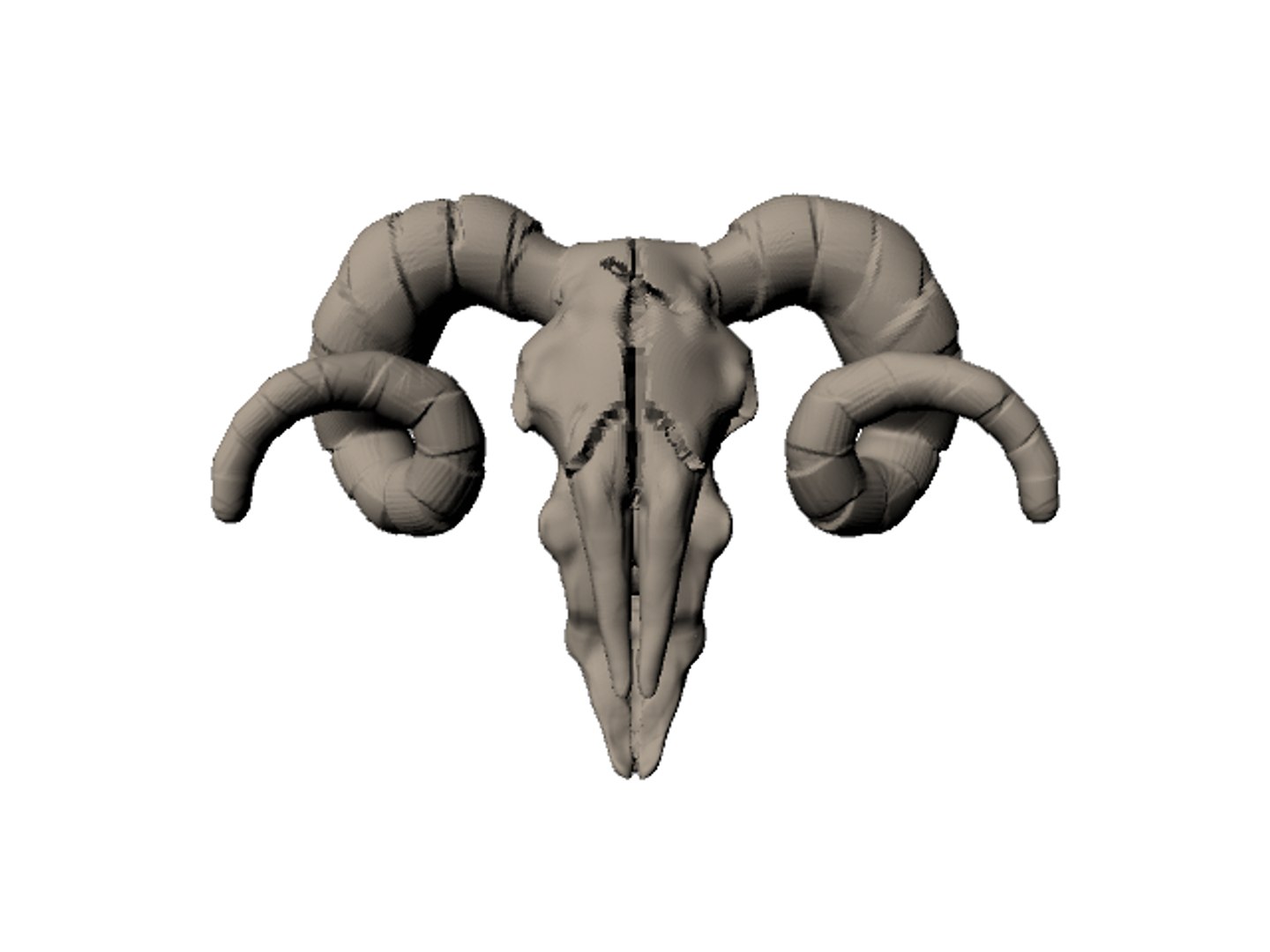 3d Sheep Skull