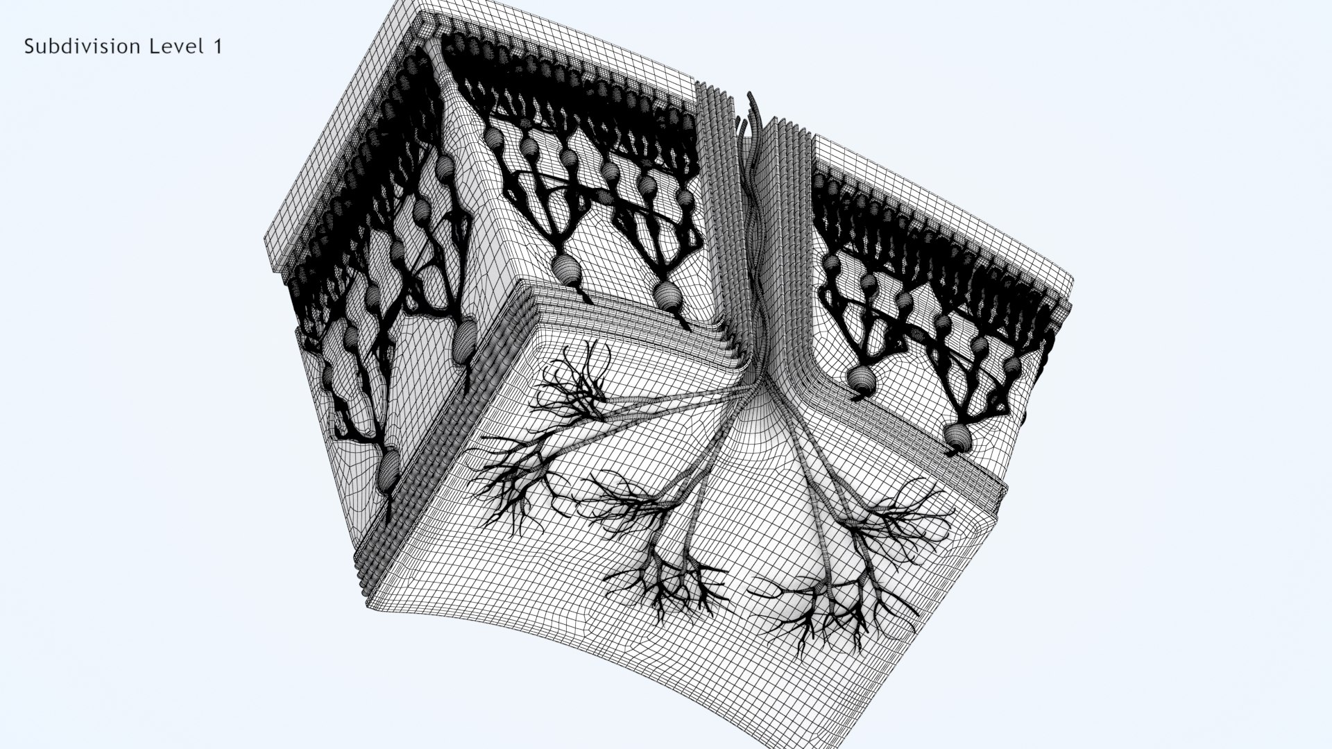 3D Model Hd Retina Cross Section - TurboSquid 1475001
