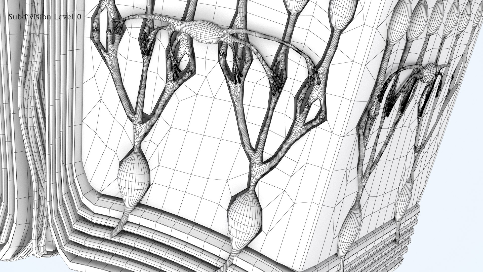 3D Model Hd Retina Cross Section - TurboSquid 1475001