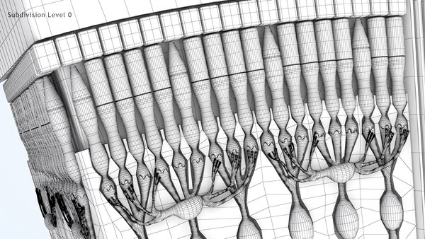 3D model hd retina cross section - TurboSquid 1475001