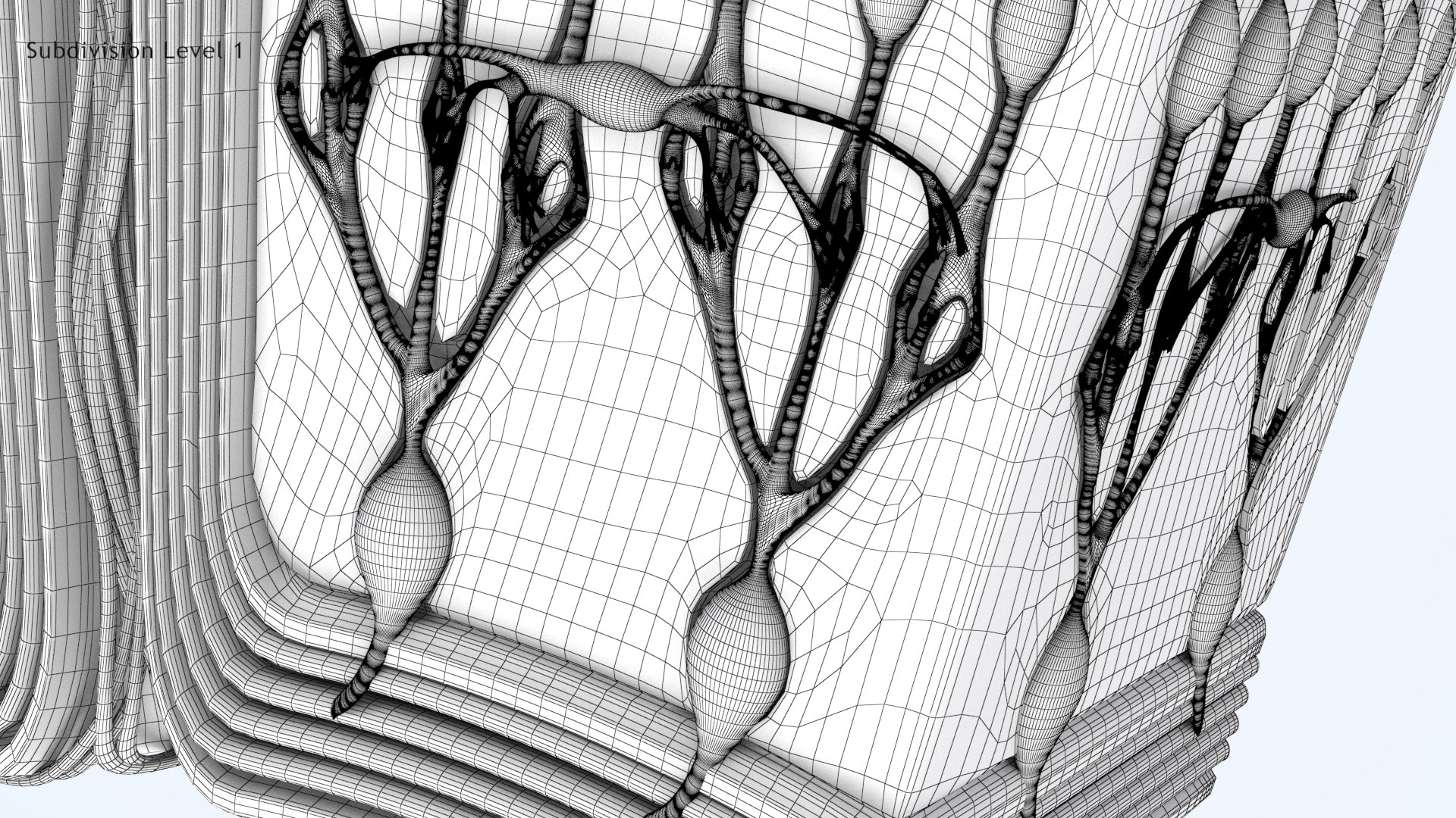 3D Model Hd Retina Cross Section - TurboSquid 1475001