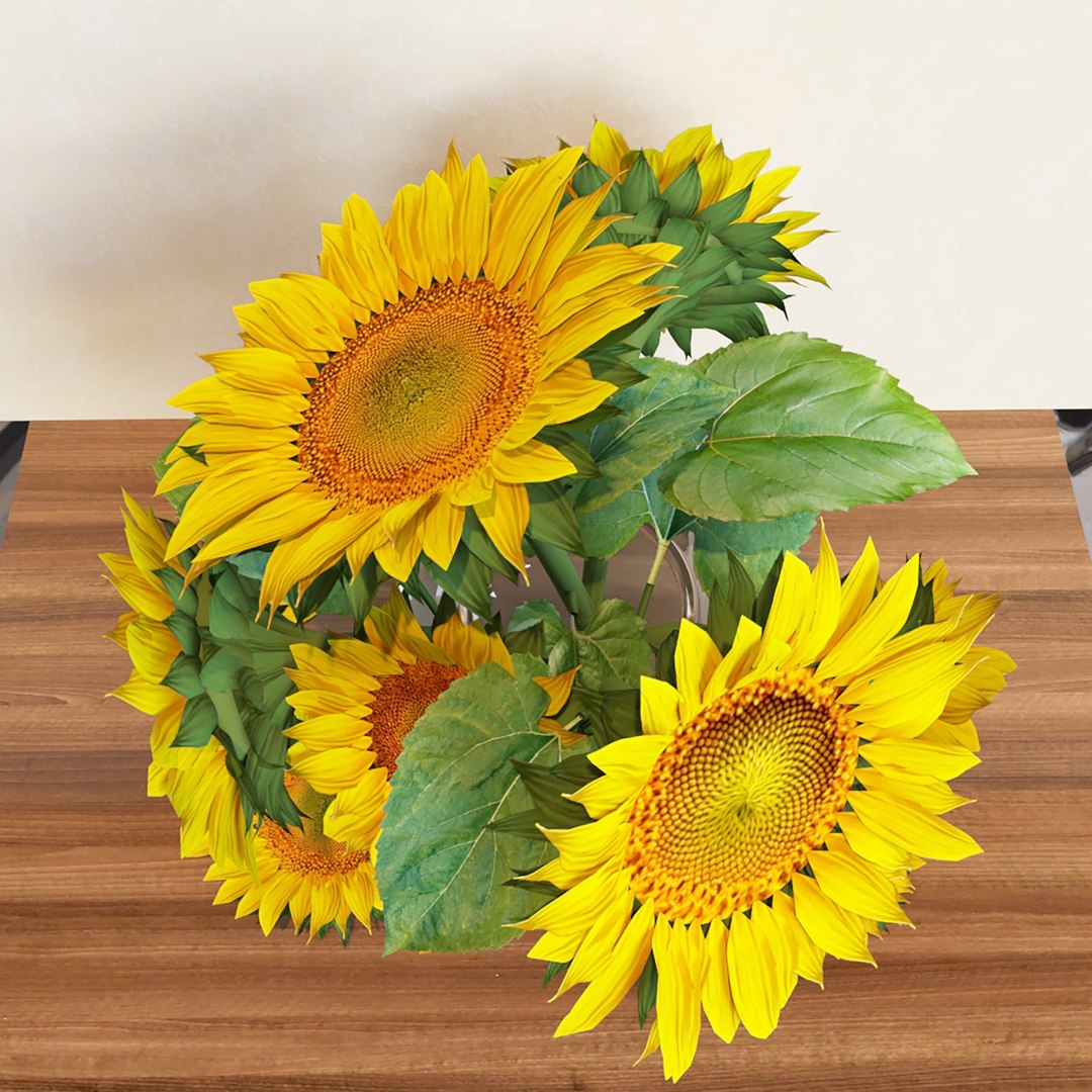 Sunflower Model - TurboSquid 1808187