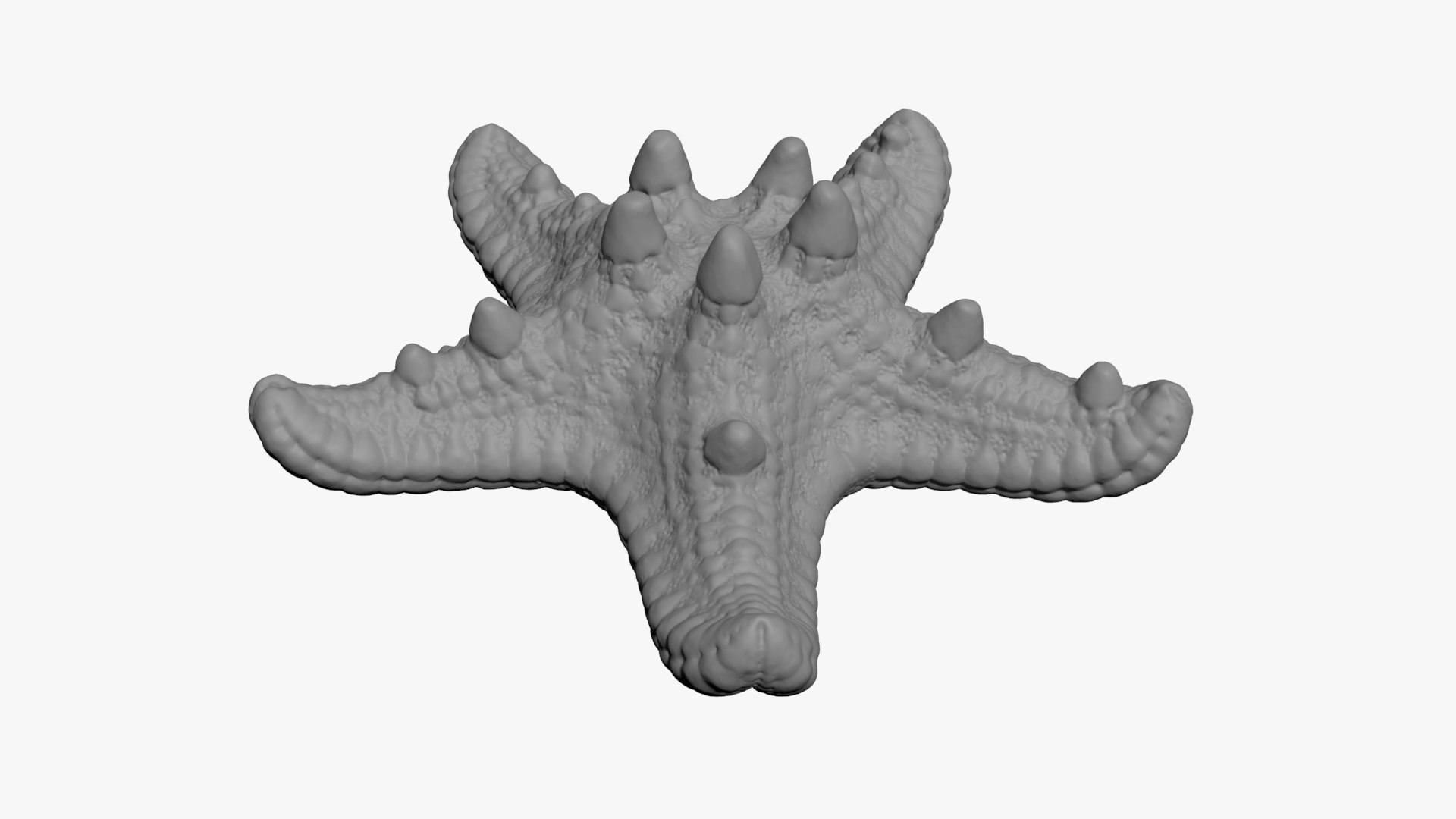Sea Star 3D Print Model - TurboSquid 2292337