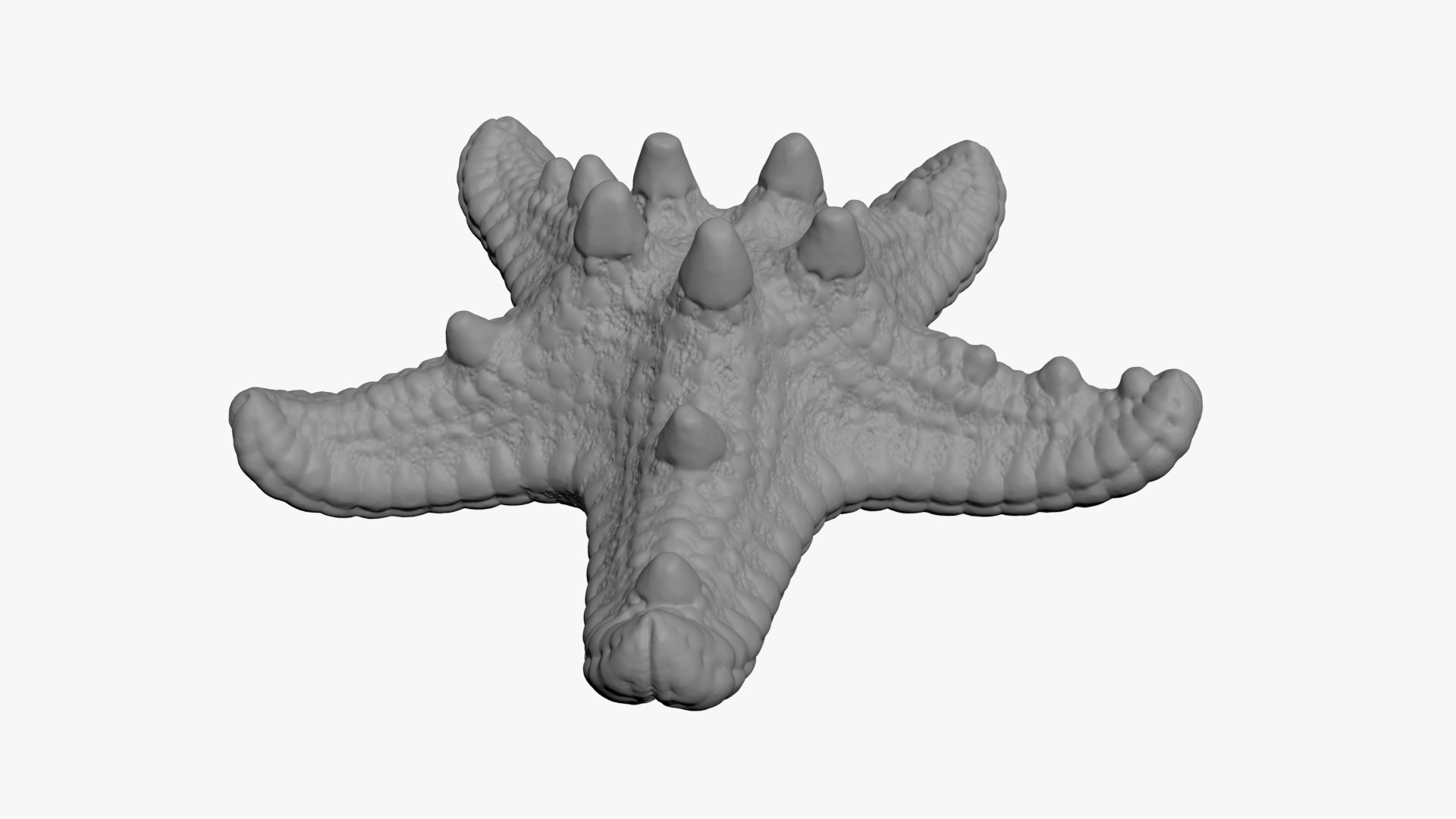 Sea Star 3D Print Model - TurboSquid 2292337