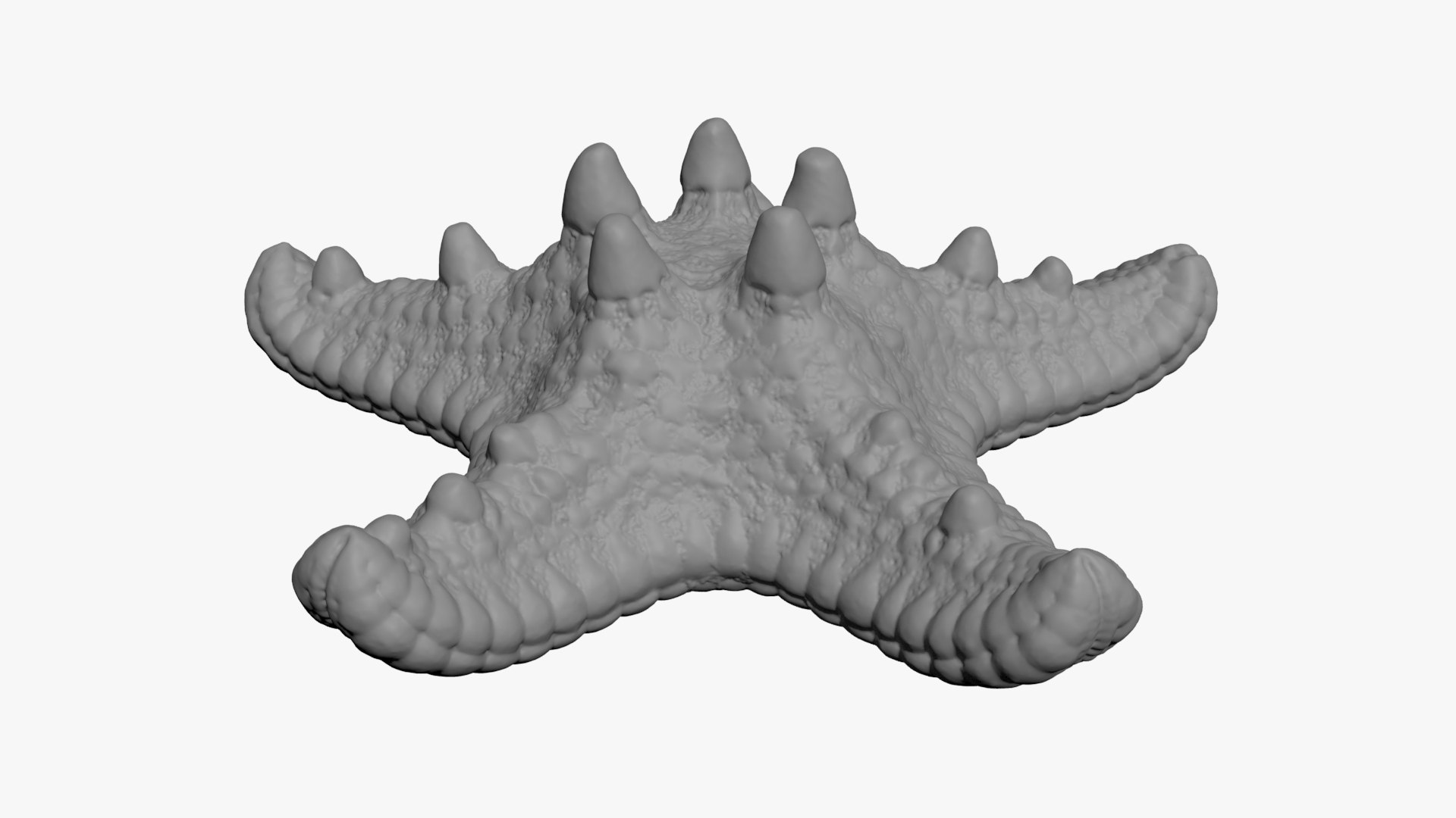 Sea Star 3D Print Model - TurboSquid 2292337