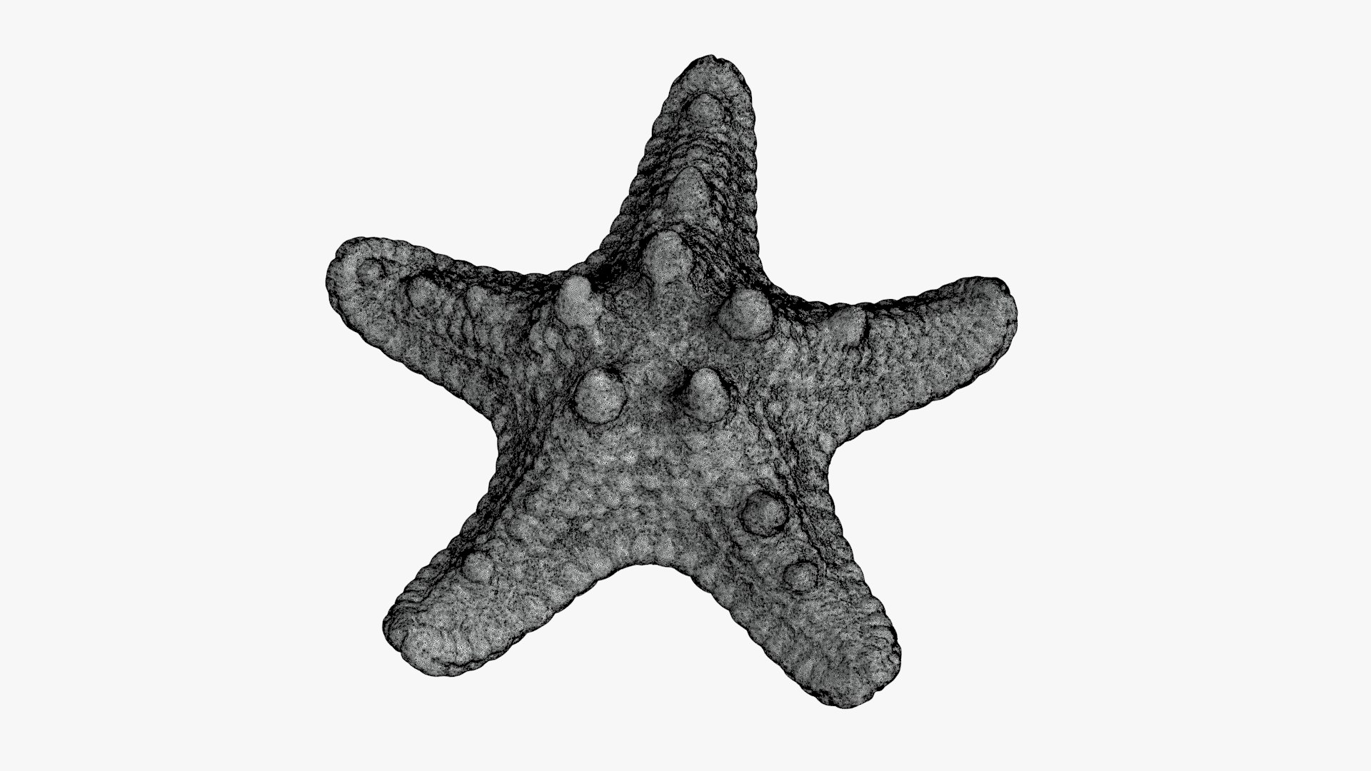 Sea Star 3D Print Model - TurboSquid 2292337