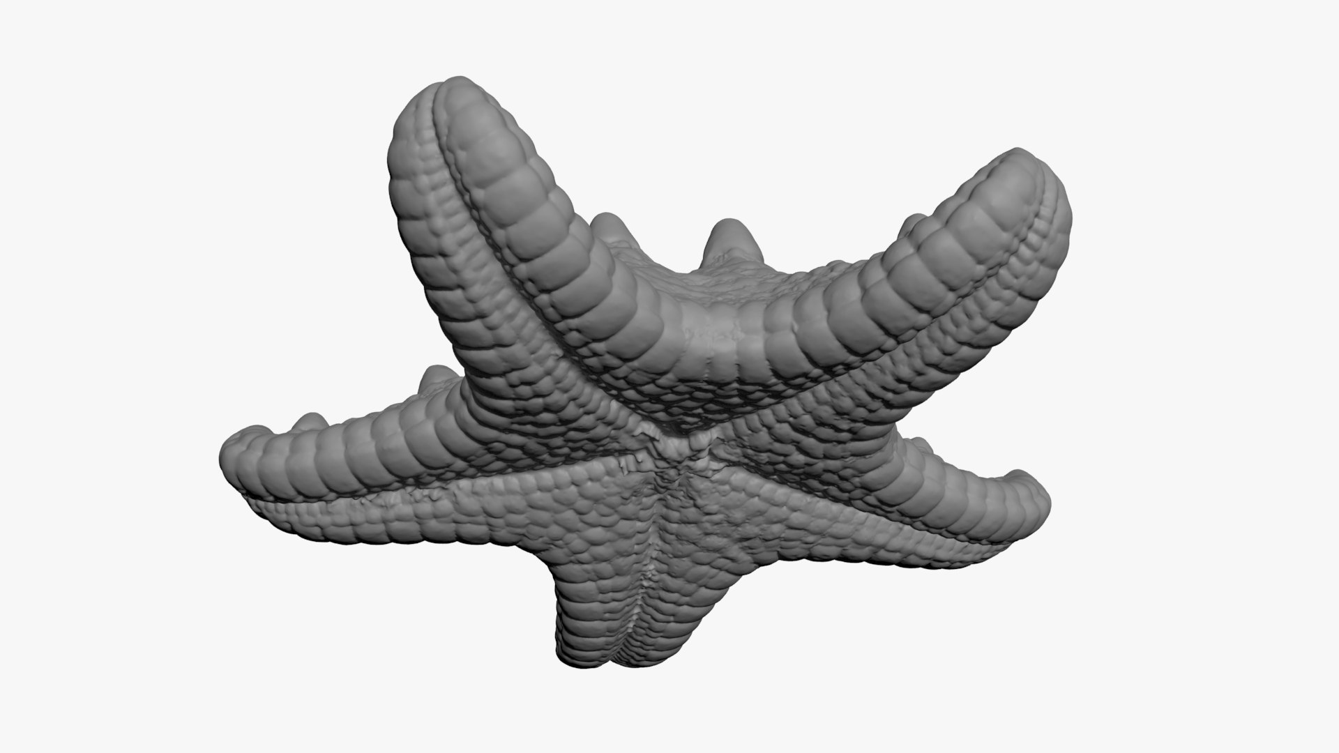 Sea Star 3D Print Model - TurboSquid 2292337