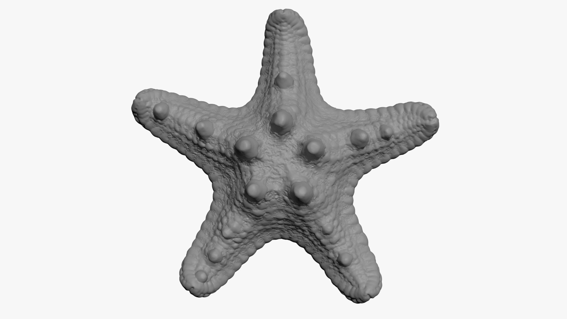 Sea Star 3D Print Model - TurboSquid 2292337