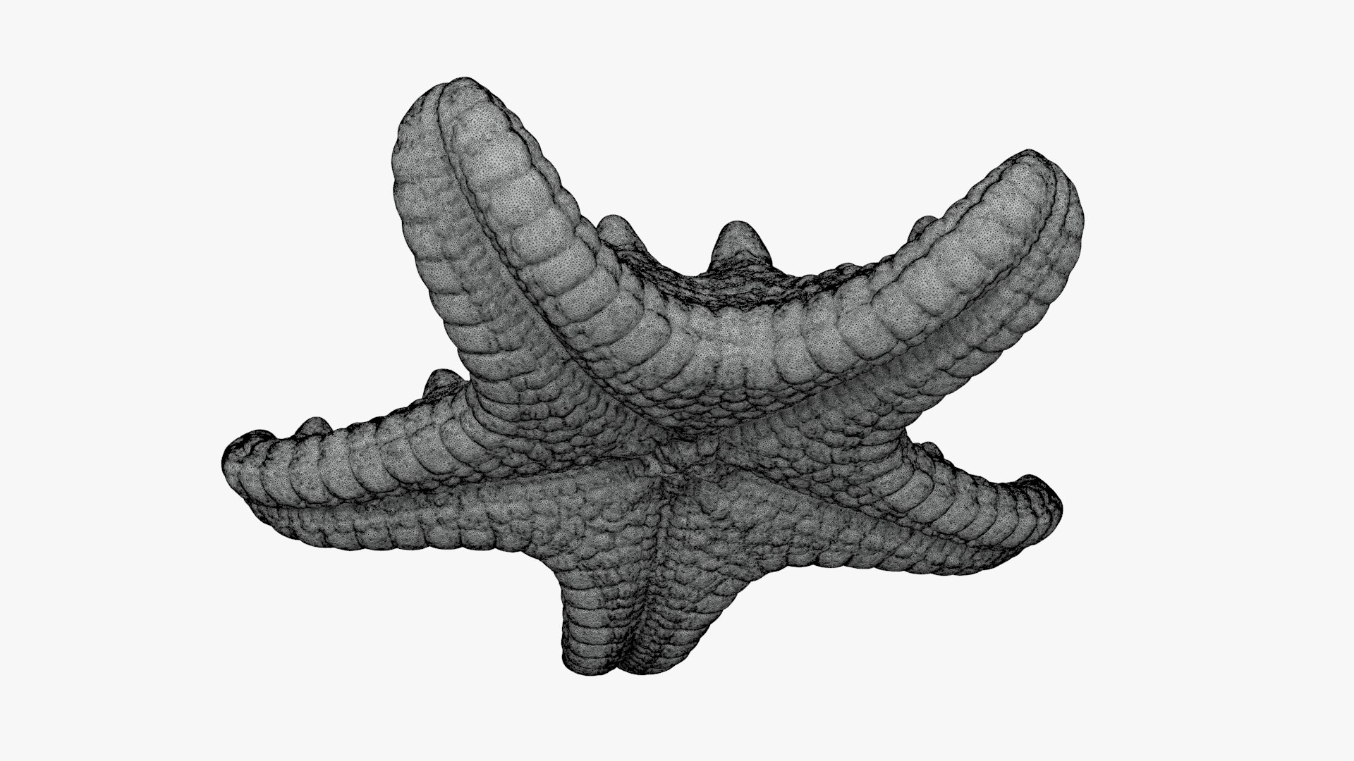 Sea Star 3D Print Model - TurboSquid 2292337