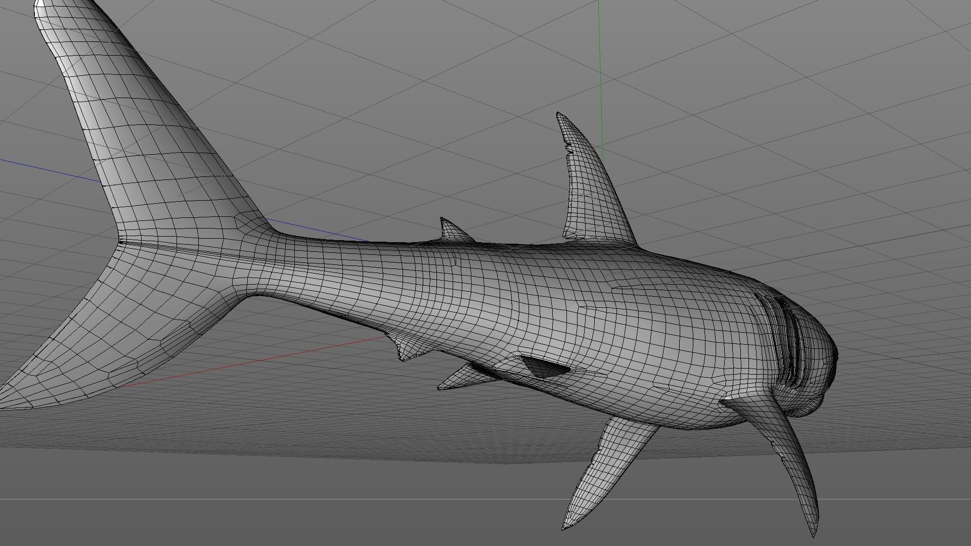 Shark Mako 3D Model - TurboSquid 1689653