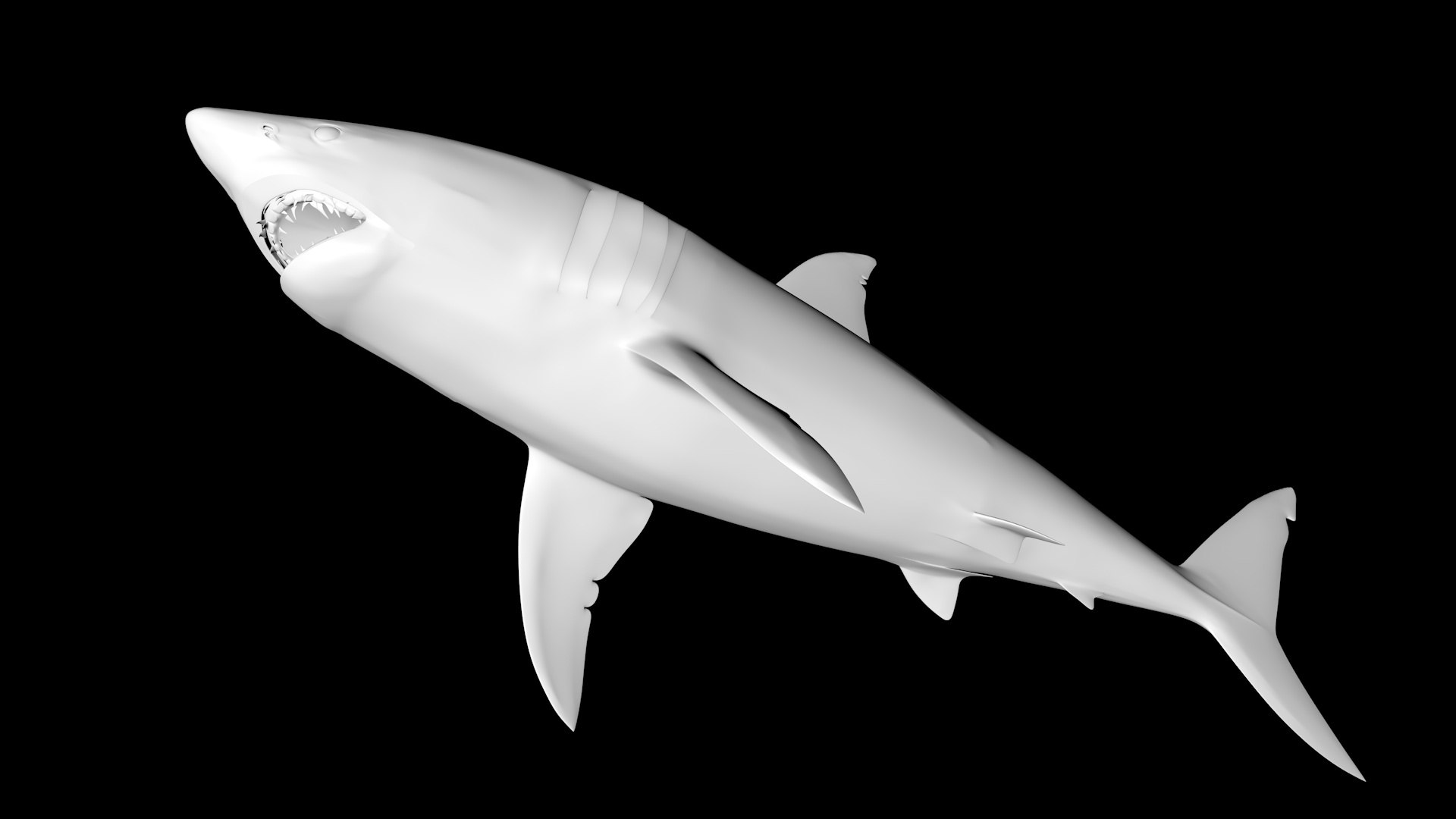 Shark Mako 3D Model - TurboSquid 1689653