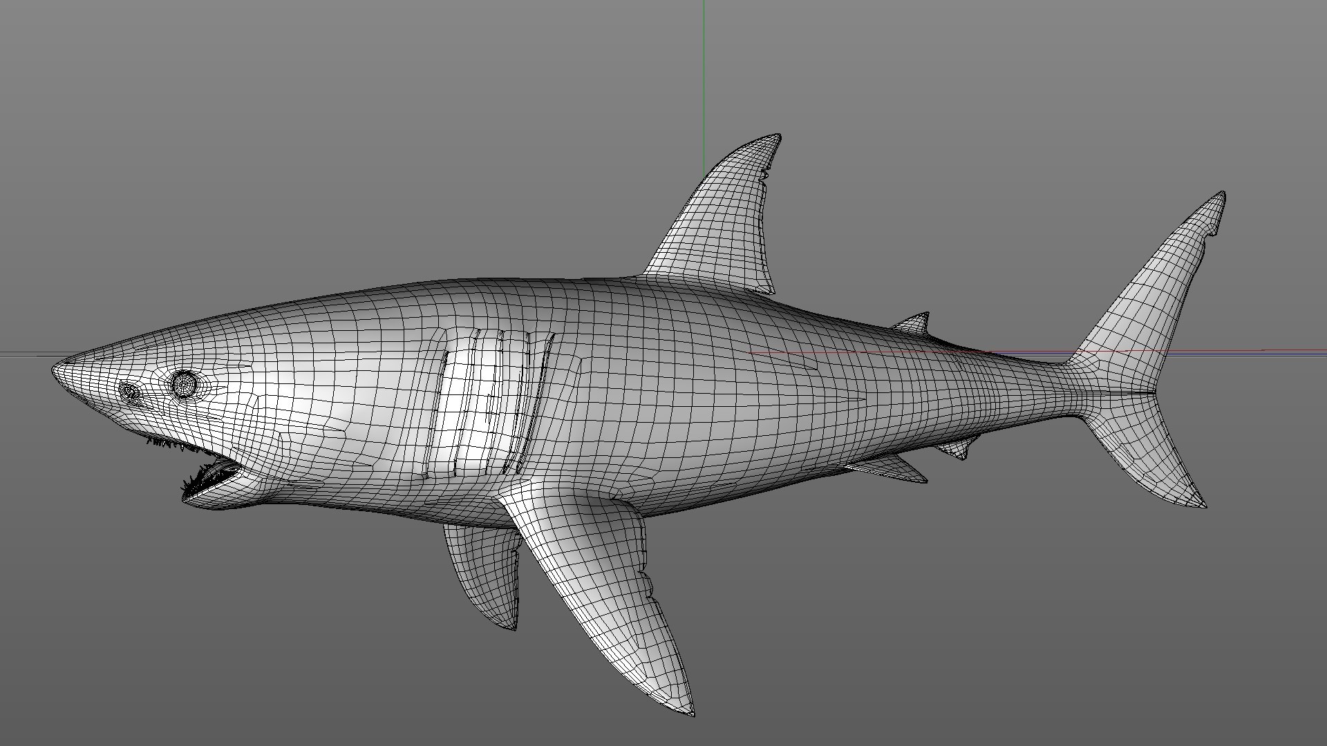 Shark Mako 3D Model - TurboSquid 1689653