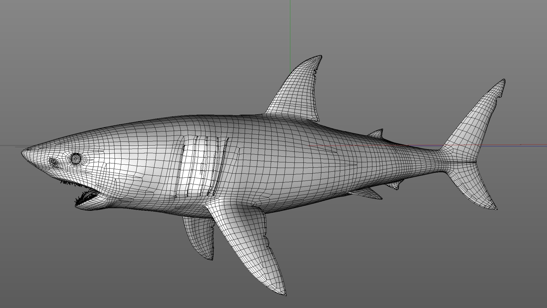 Shark mako 3D model - TurboSquid 1689653