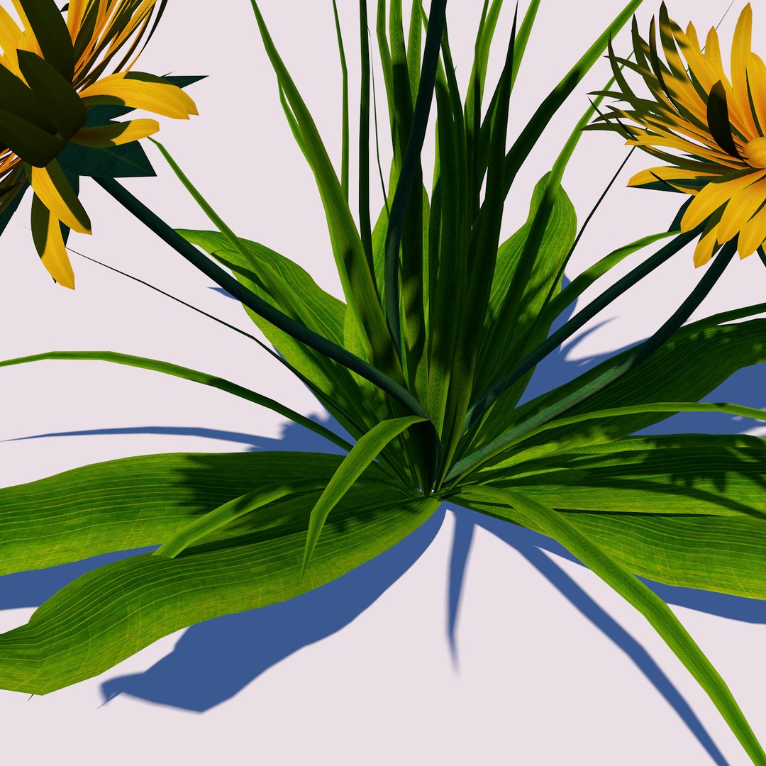 3D Dandelion Flower - TurboSquid 1281581