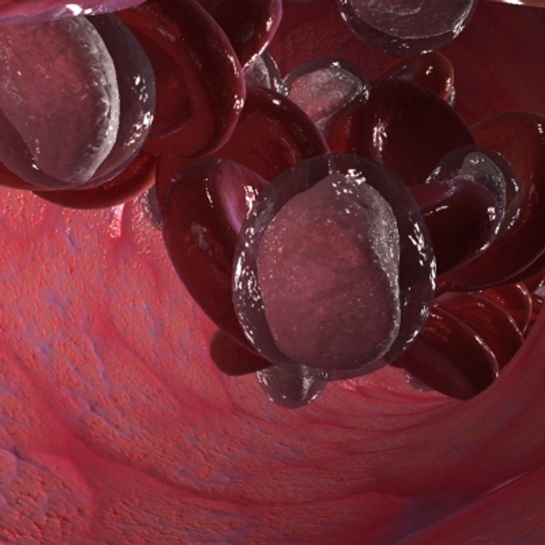 Max Blood Flow Cells