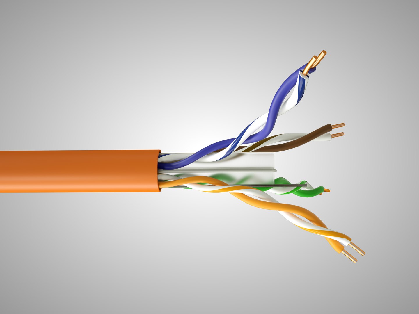 Free 3D Cat 6 U Utp - TurboSquid 1467669