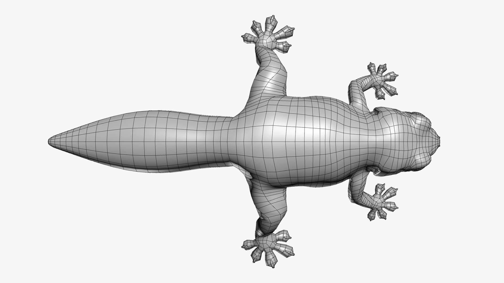 3D Gecko Reptile - TurboSquid 1989224