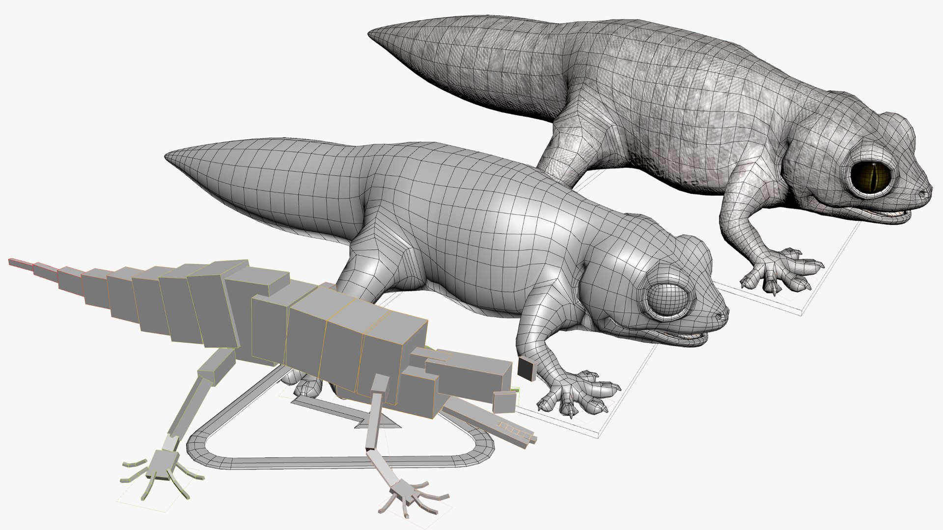 3D Gecko Reptile - TurboSquid 1989224