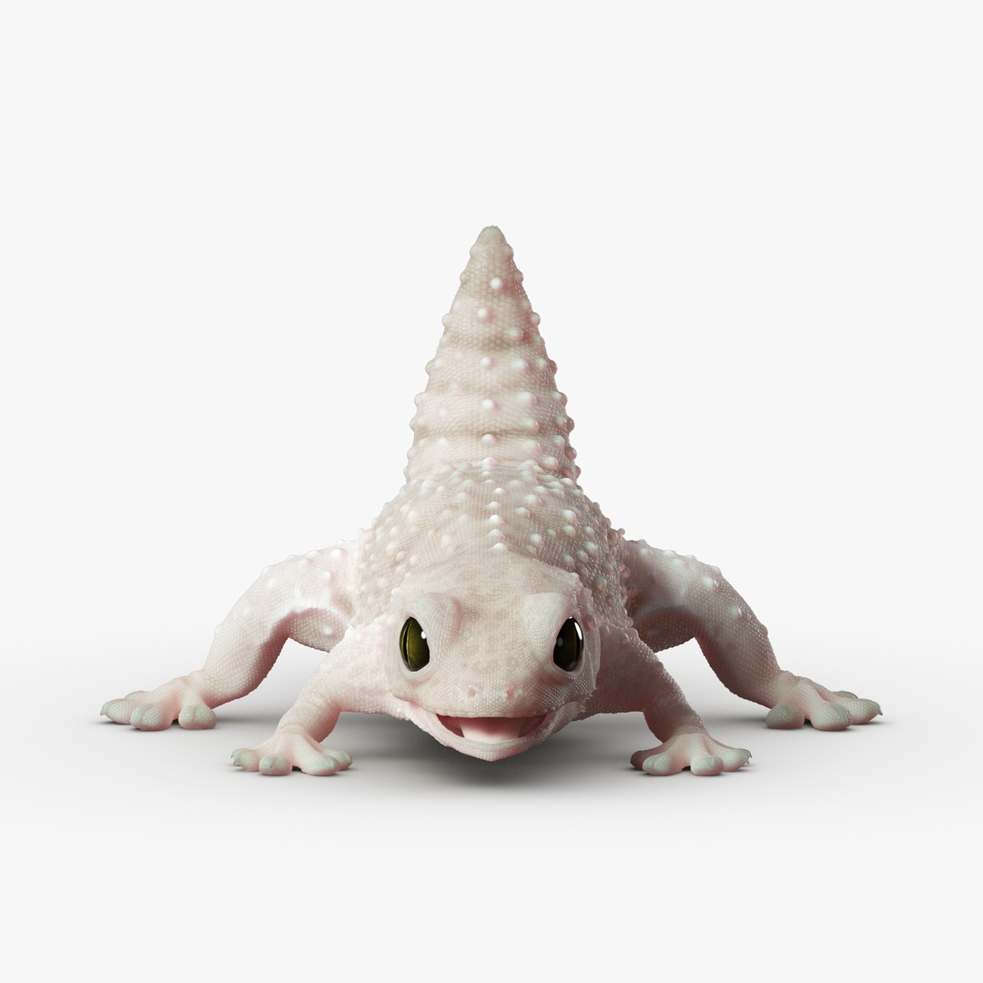 3D Gecko Reptile - TurboSquid 1989224