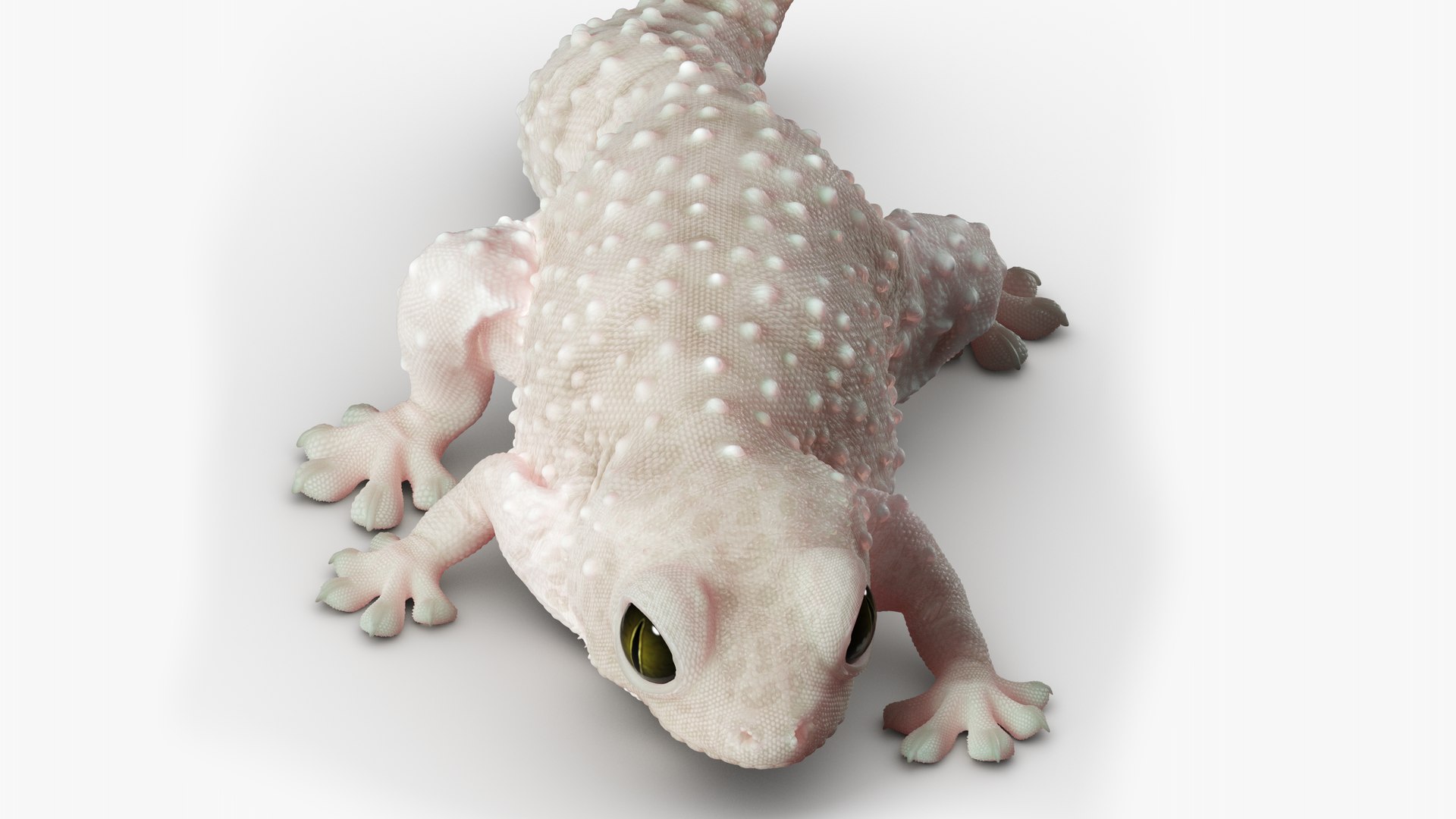 3D Gecko Reptile - TurboSquid 1989224