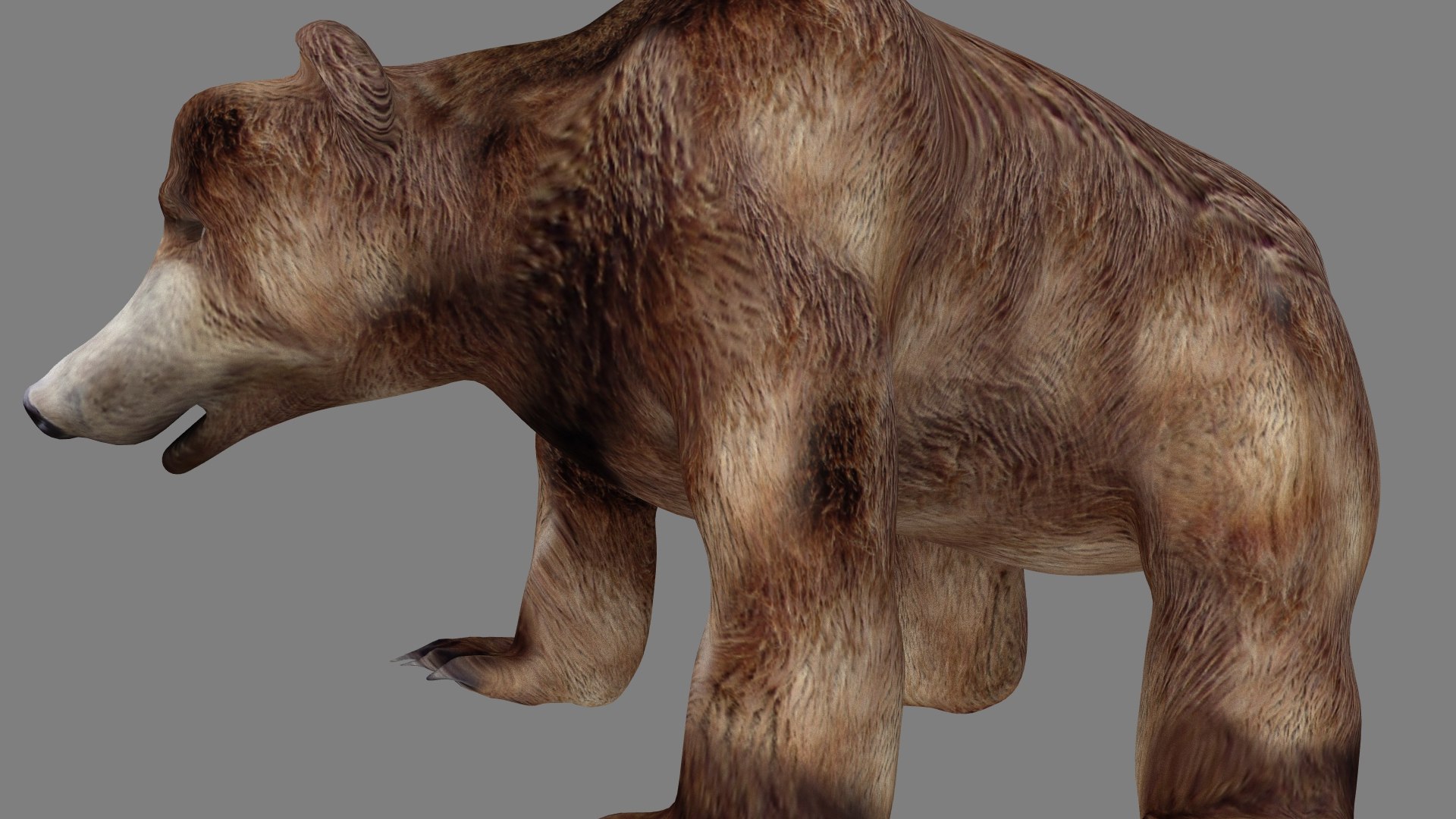 3D Bear With Textures model - TurboSquid 1763331