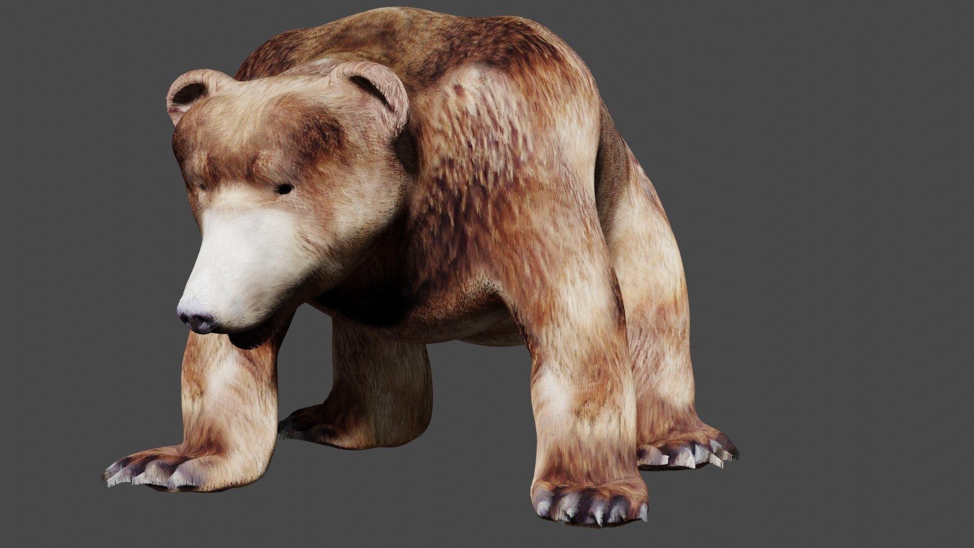3D Bear With Textures model - TurboSquid 1763331