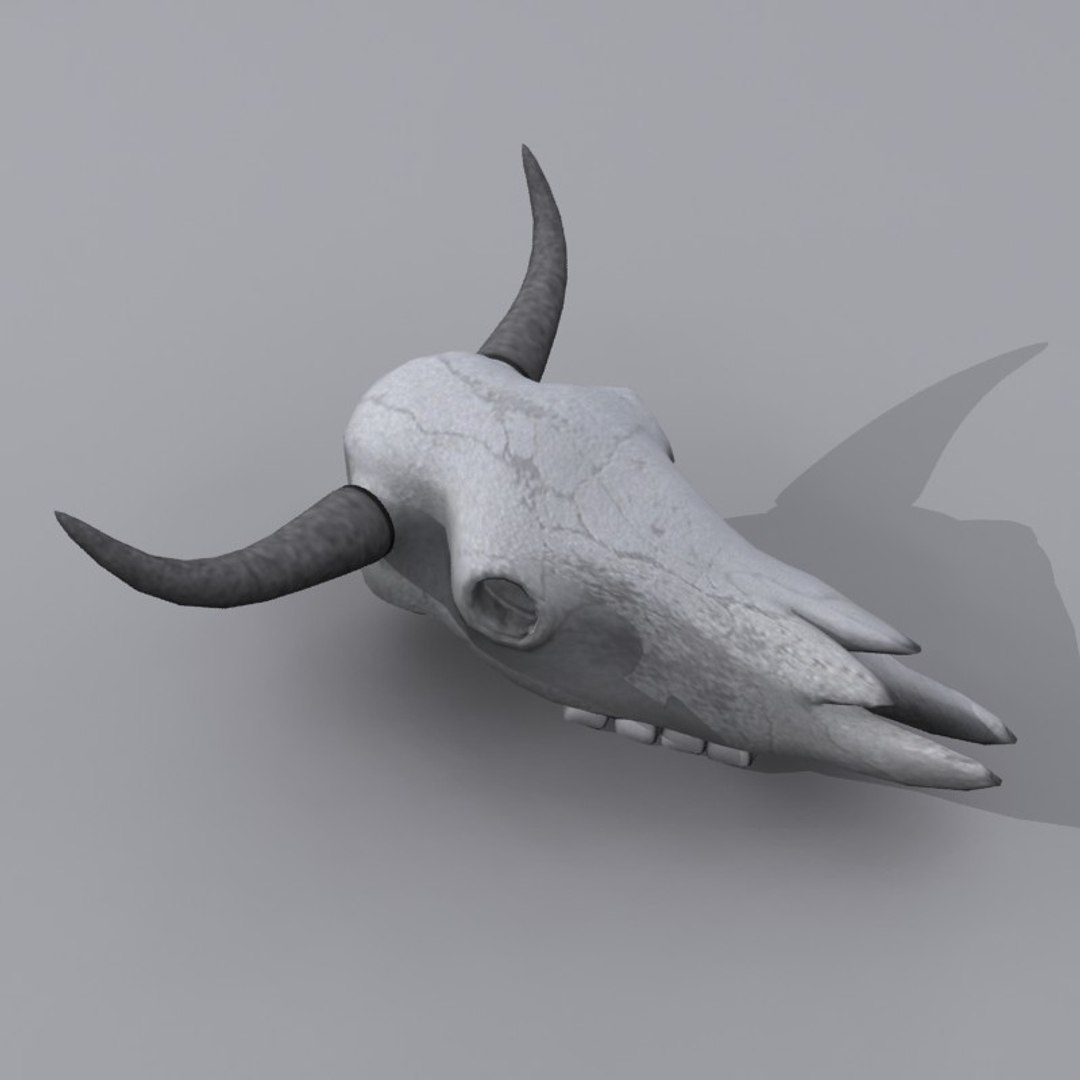 Cow Skull 3d Obj