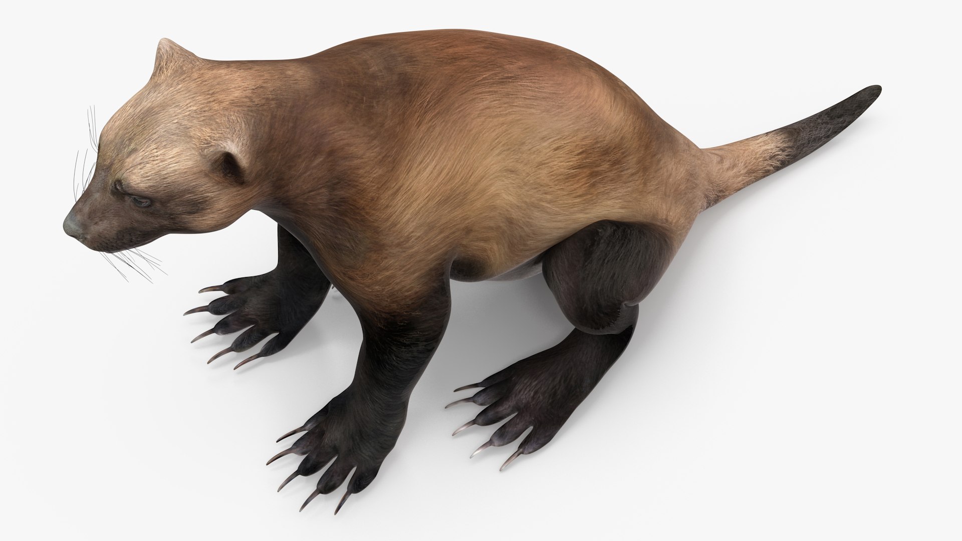 Wolverine Dark Color Sitting Pose 3D Model - TurboSquid 2131565