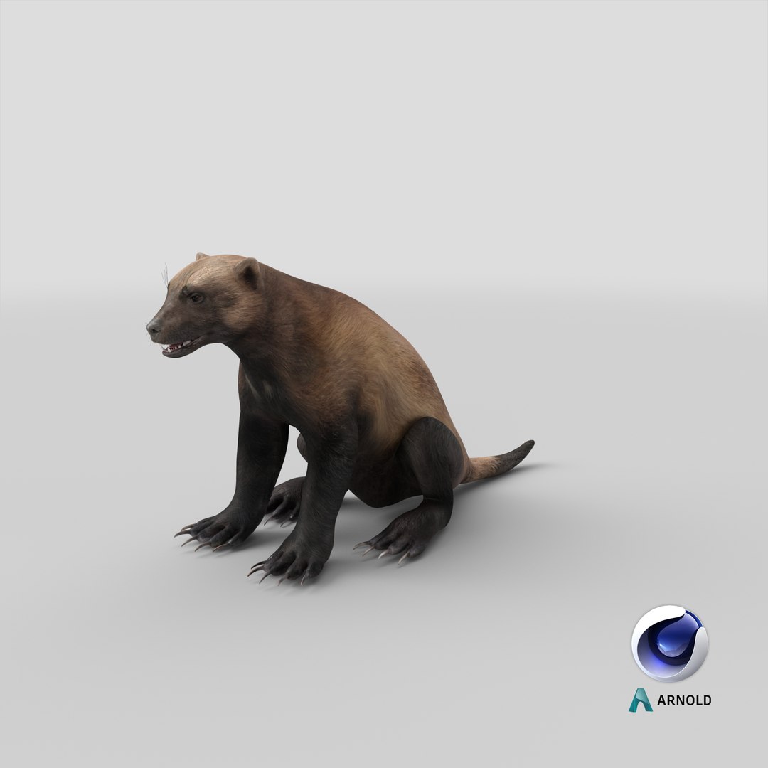 Wolverine Dark Color Sitting Pose 3D Model - TurboSquid 2131565