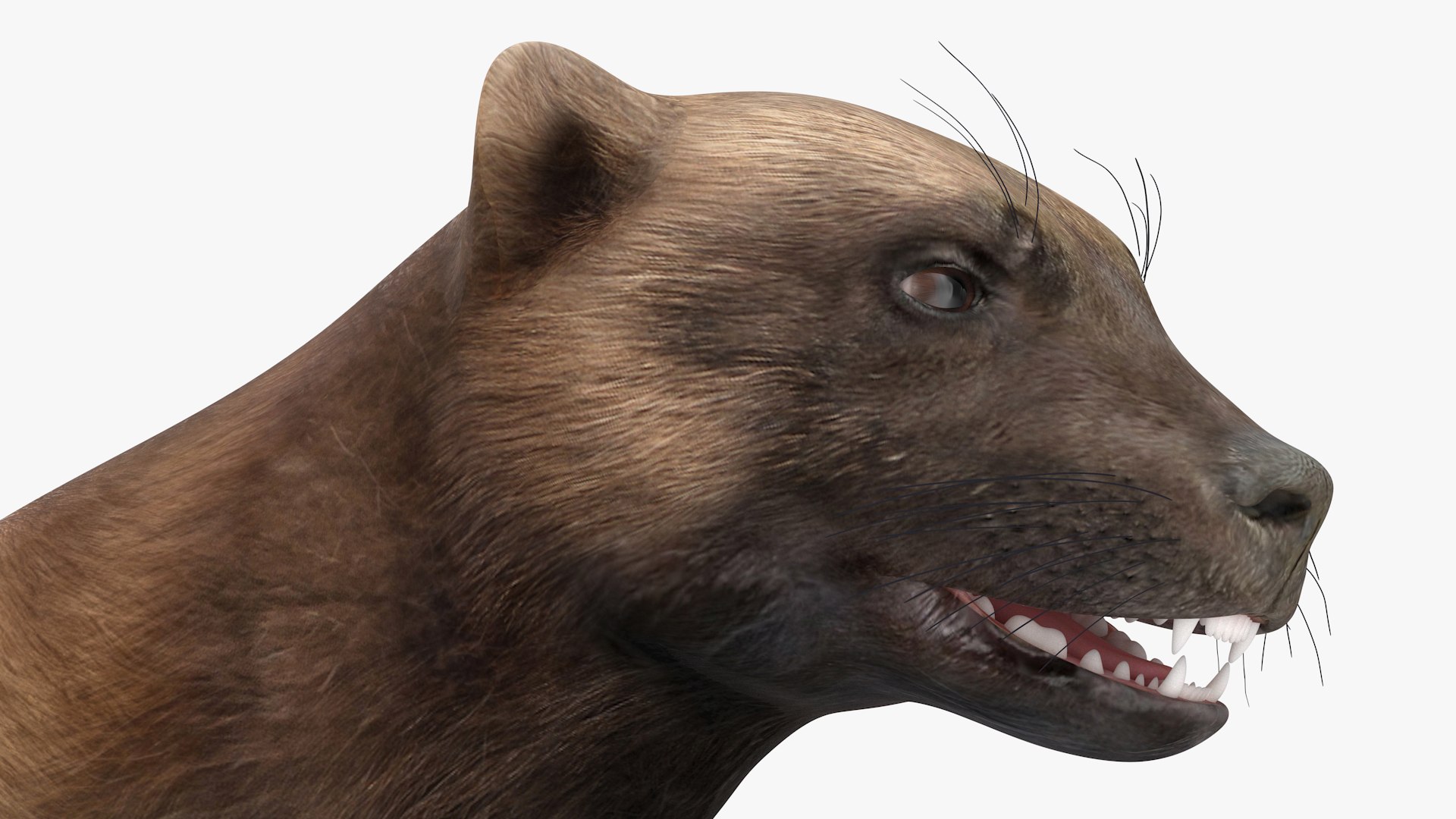 Wolverine Dark Color Sitting Pose 3D Model - TurboSquid 2131565