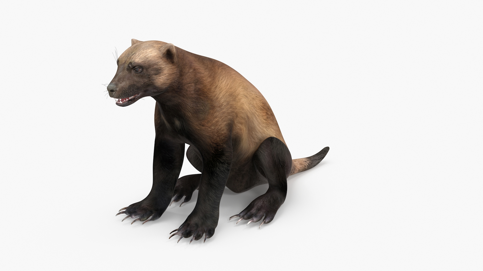 Wolverine Dark Color Sitting Pose 3D Model - TurboSquid 2131565