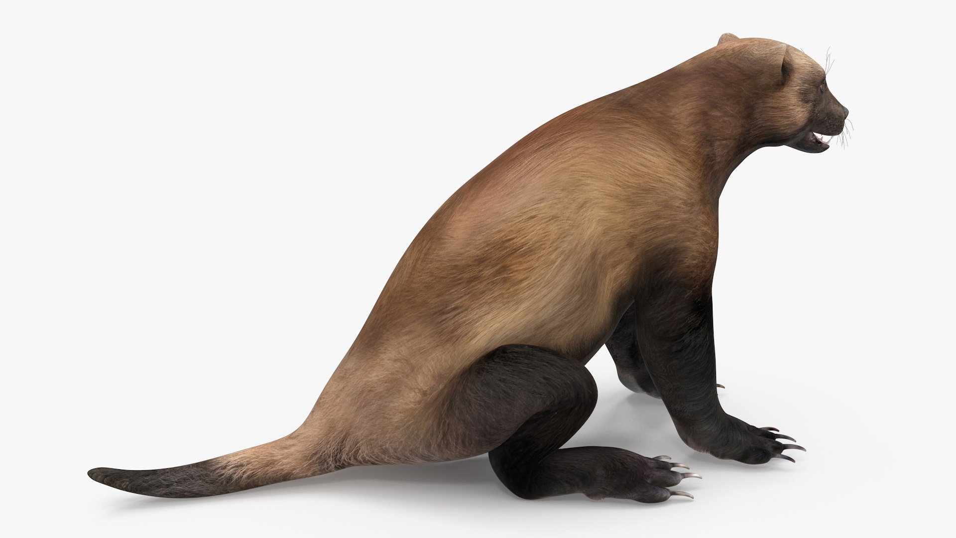 Wolverine Dark Color Sitting Pose 3D Model - TurboSquid 2131565
