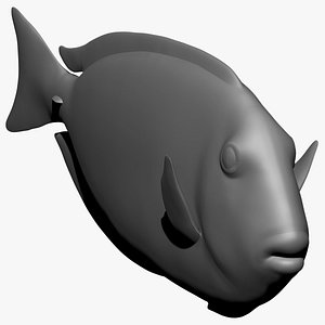 Surgeon Fish 3D Models for Download | TurboSquid