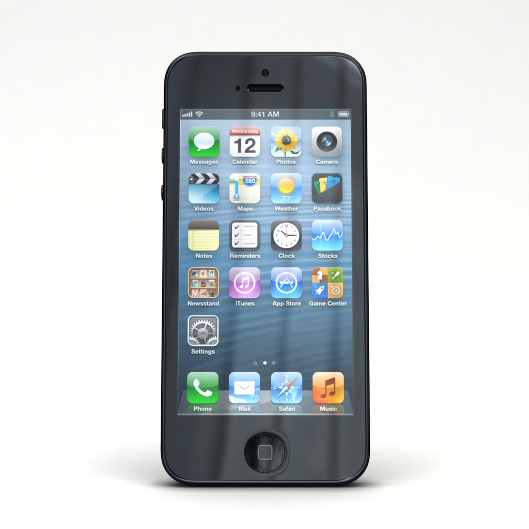 Apple Iphone 5 Black Lwo