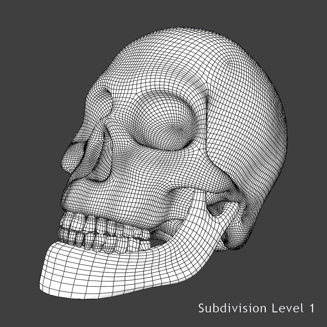Male Human Skeleton Bone Obj
