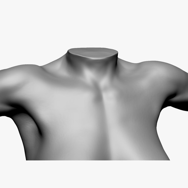 modelo 3d Torso femenino A - TurboSquid 2199497