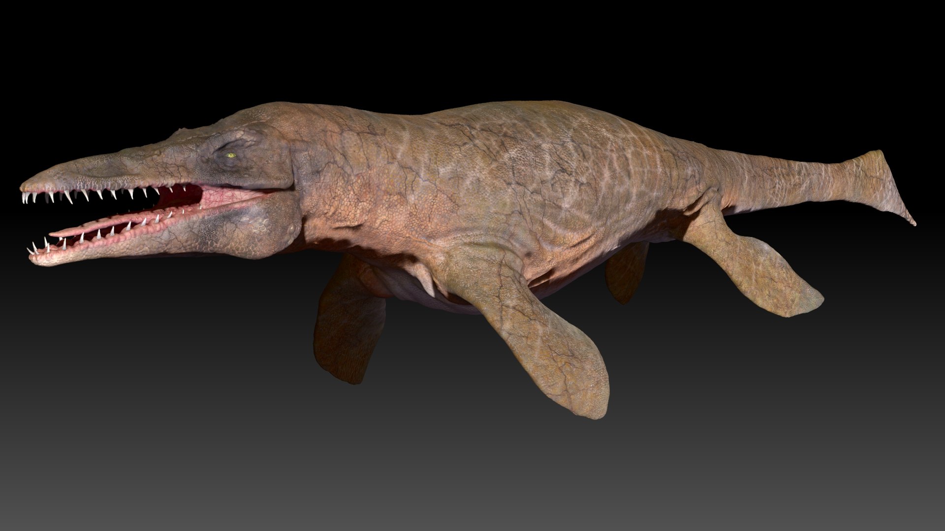 Tylosaurus Sculpt Project model - TurboSquid 1777484